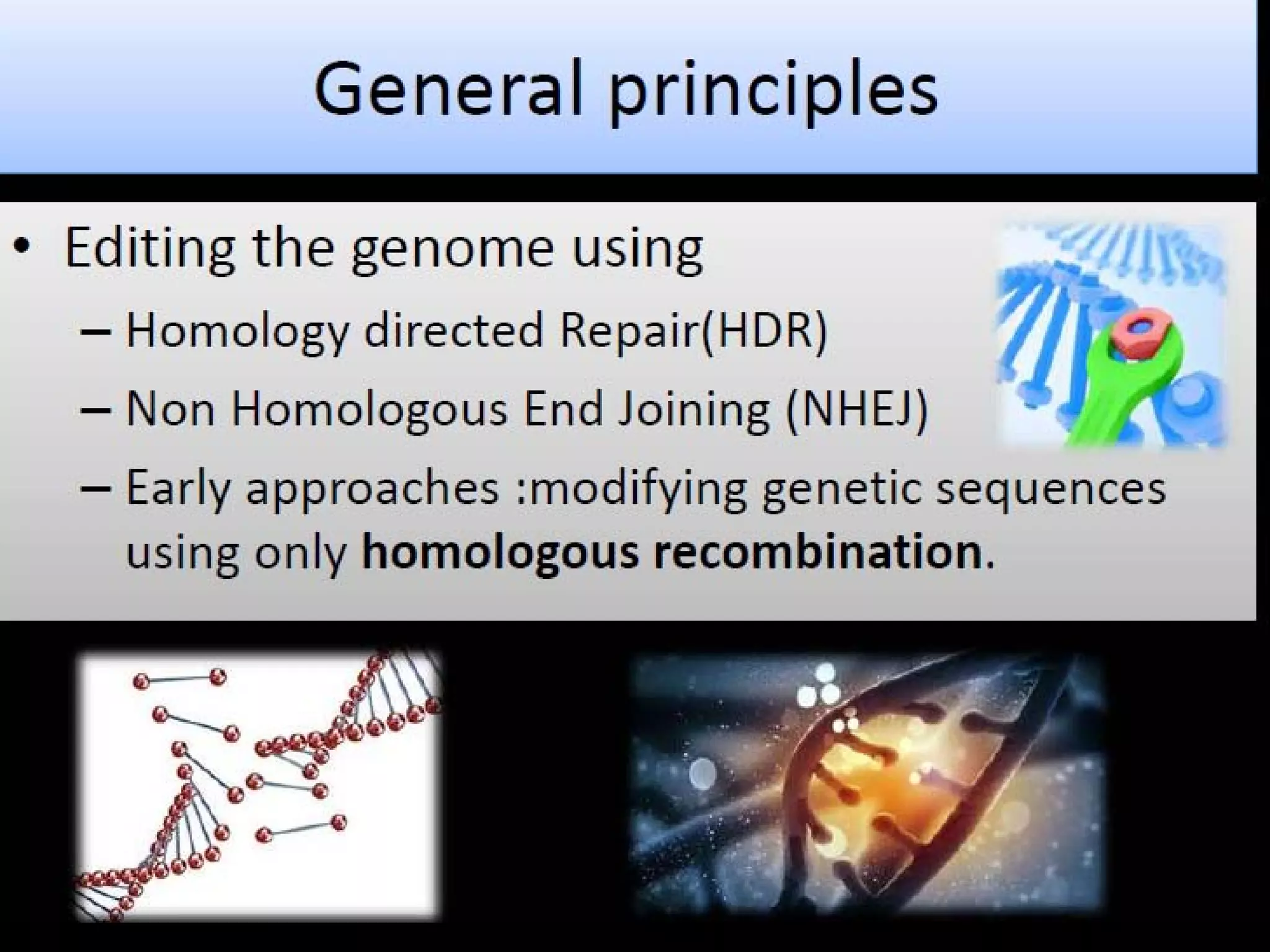 Genome editing | PDF