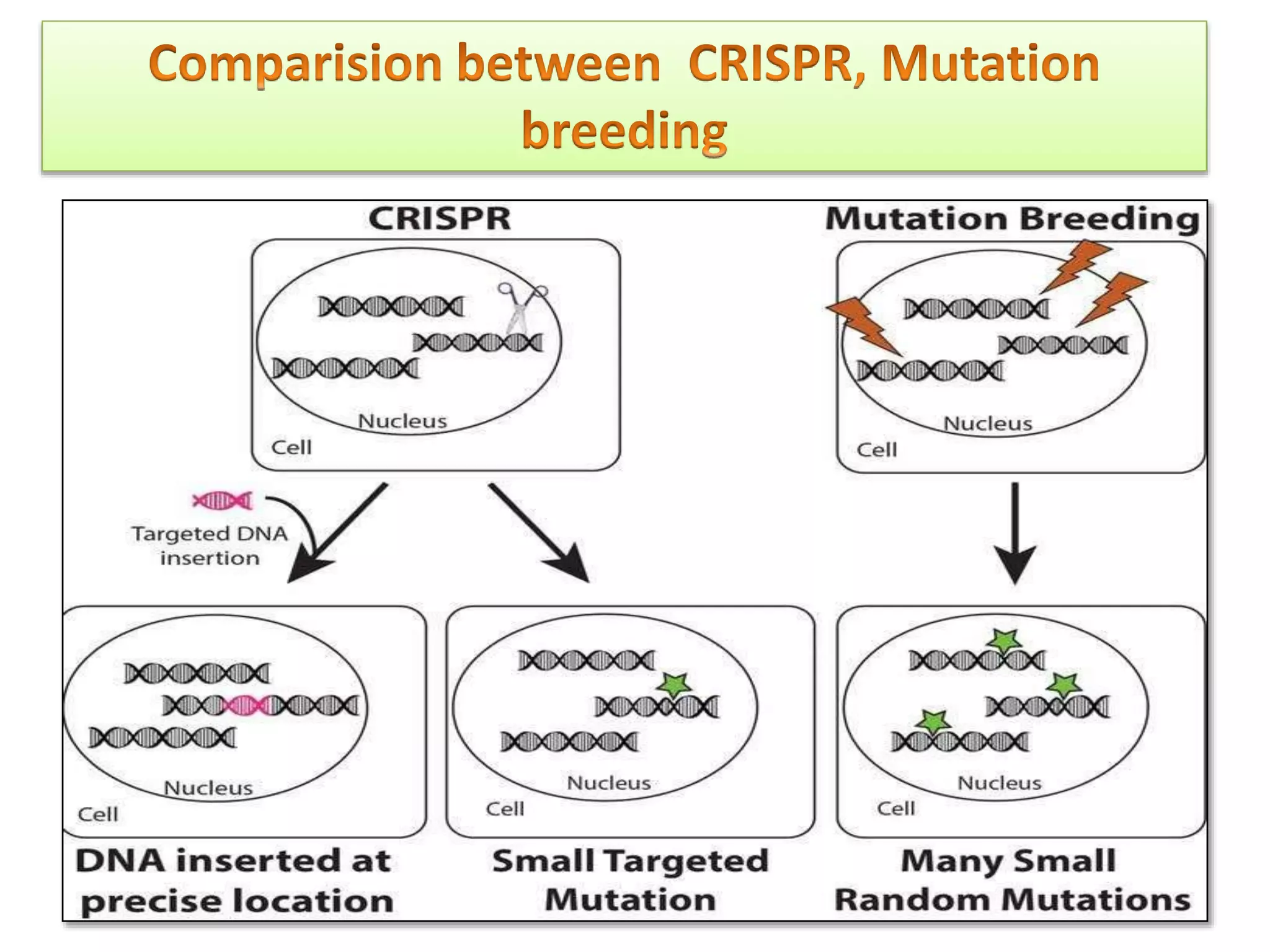 Genome editing | PPT