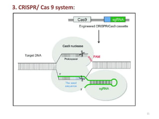 Genome editing | PPT