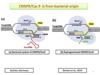Genome editing | PPT