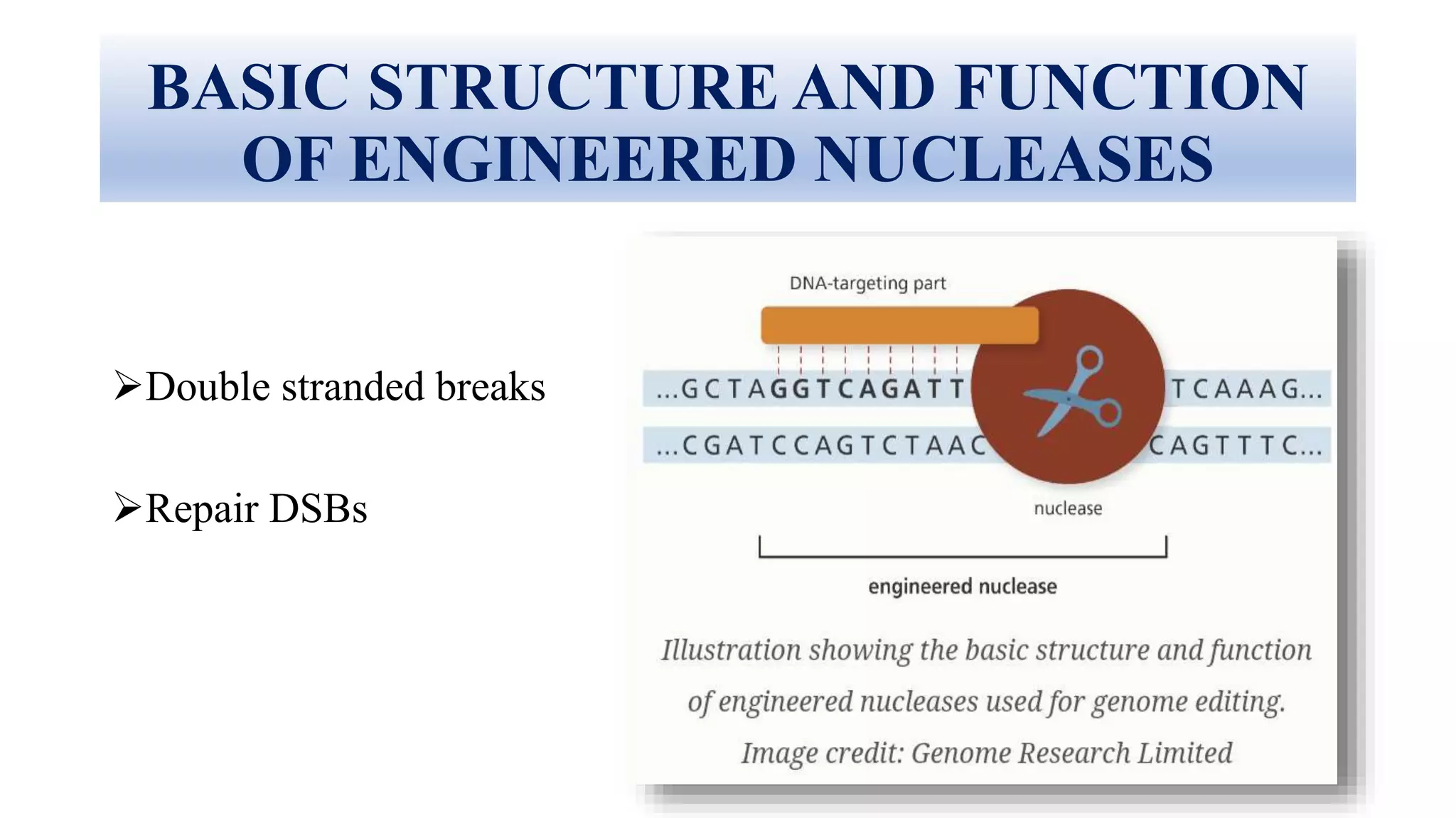 Genome editing | PPT