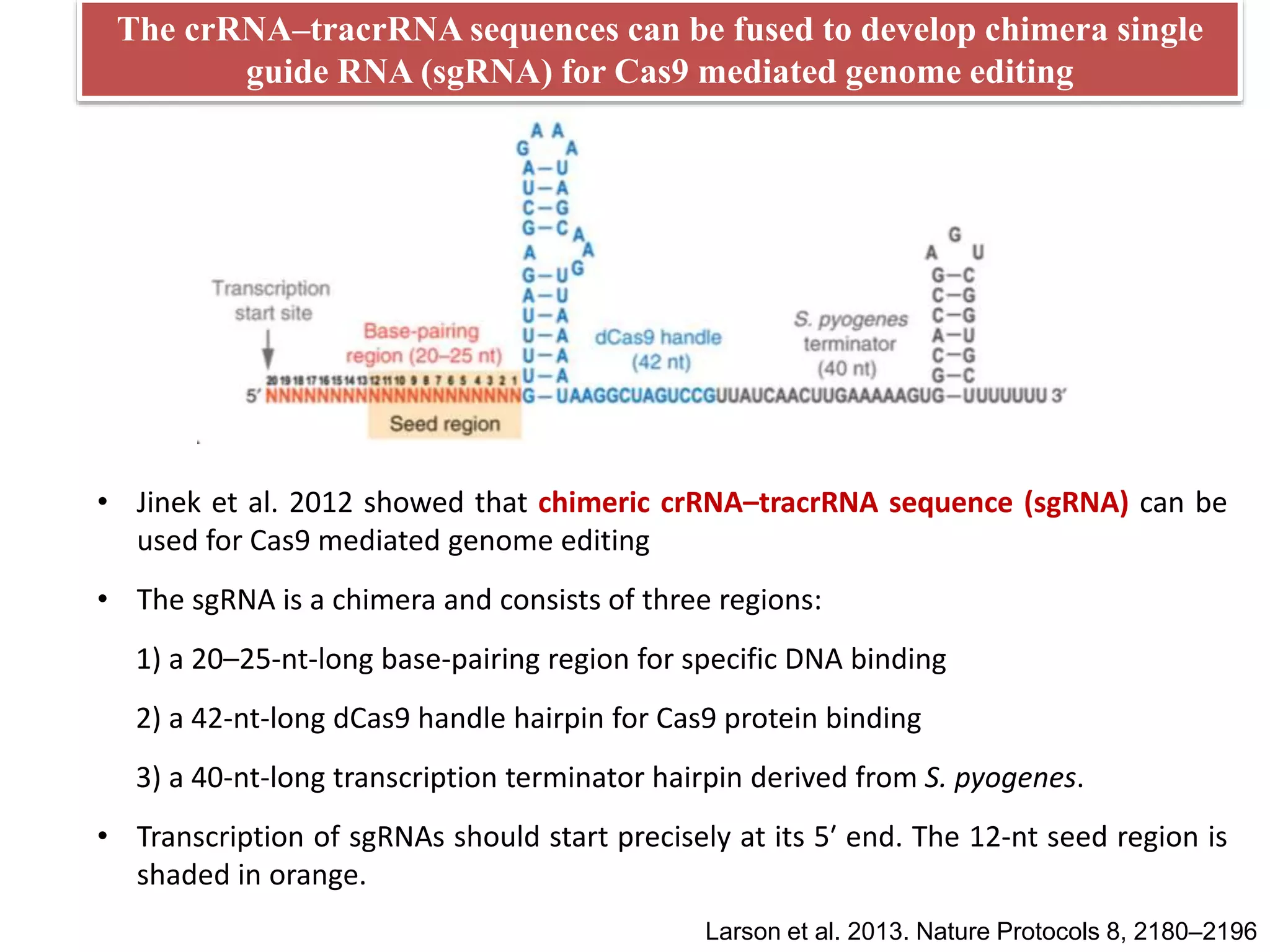 Genome editing | PPT