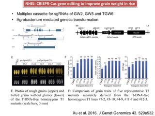 Genome editing | PPT