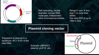 Comparison Between Different Types Of Vectors | PPT