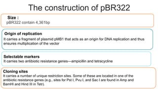 Comparison Between Different Types Of Vectors | PPT