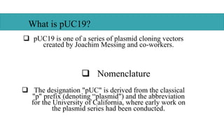 Comparison Between Different Types Of Vectors | PPT