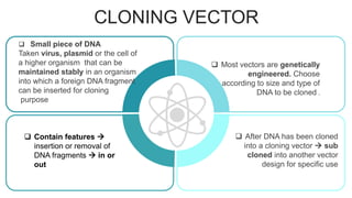 Comparison Between Different Types Of Vectors | PPT