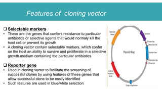 Comparison Between Different Types Of Vectors | PPT