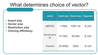 Comparison Between Different Types Of Vectors | PPT