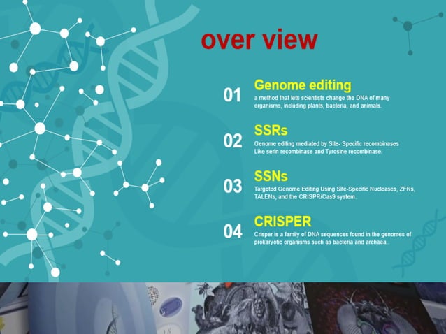 Genome editing | PDF