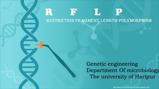 RFLP | PPTX