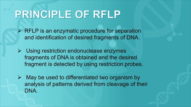 RFLP | PPTX