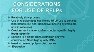 RFLP | PPTX