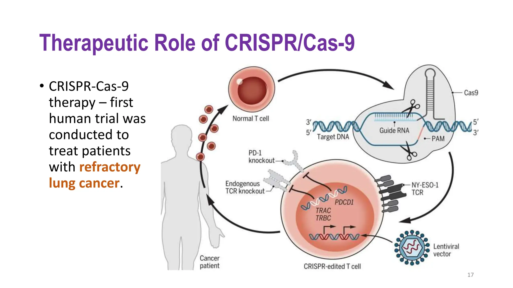 Genome Editing and CRISPR-Cas 9 by Maliha Rashid.pptx
