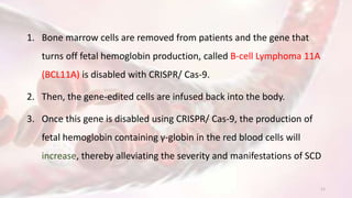 Genome Editing and CRISPR-Cas 9 by Maliha Rashid.pptx
