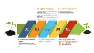 Genome Editing and CRISPR-Cas 9 by Maliha Rashid.pptx