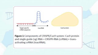 Genome Editing and CRISPR-Cas 9 by Maliha Rashid.pptx