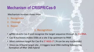 Genome Editing and CRISPR-Cas 9 by Maliha Rashid.pptx