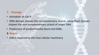 Genome Editing and CRISPR-Cas 9 by Maliha Rashid.pptx