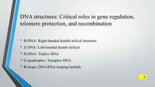 Genome editing by PNA | PPT