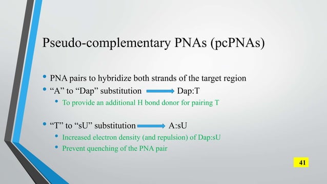 Genome editing by PNA | PPT