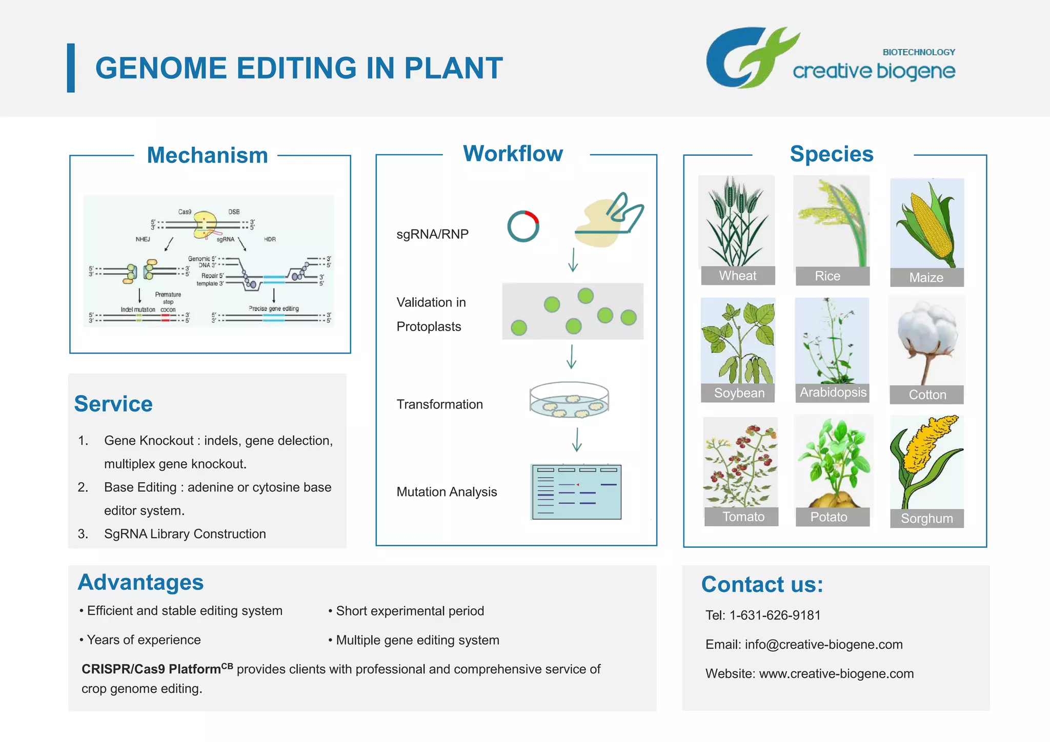 Genome editing | PPT