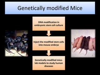 Genome editing | PPTX