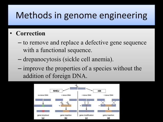 Genome editing | PPTX