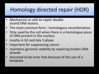 Genome editing | PPTX