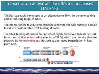 Genome editing presentation.pptx