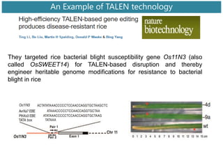 Genome editing presentation.pptx