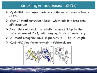 Genome editing presentation.pptx