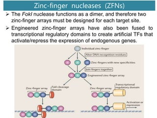 Genome editing presentation.pptx