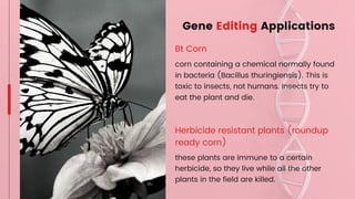 Genome editing sts genetic engineering p | PPT