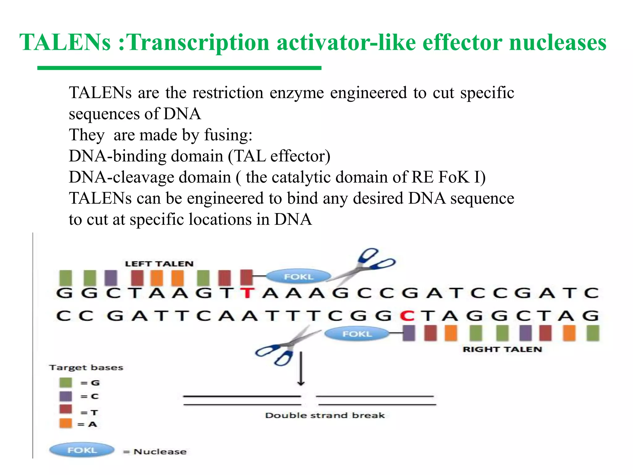 Genome editing techniques | PPTX