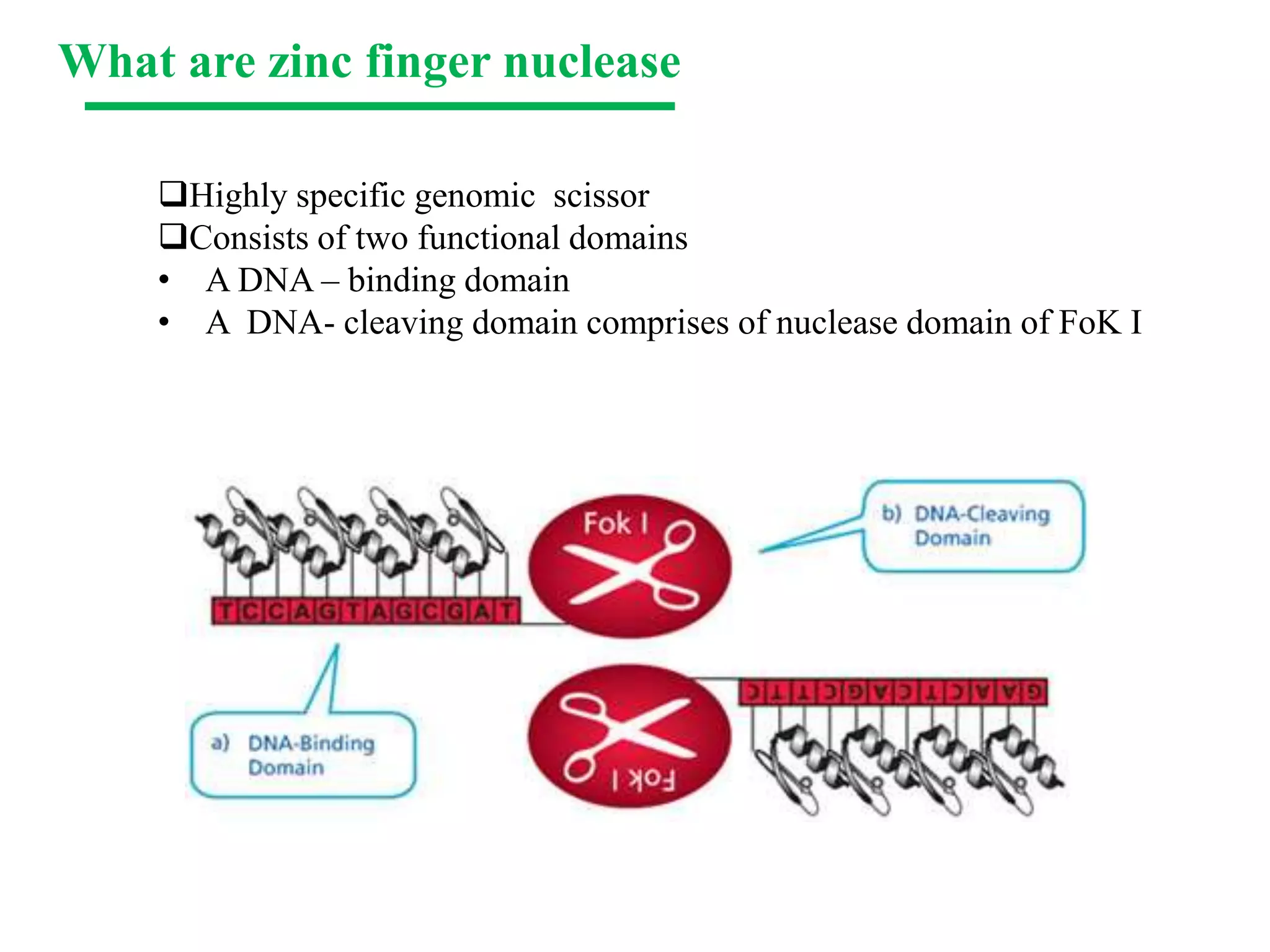 Genome editing techniques | PPTX