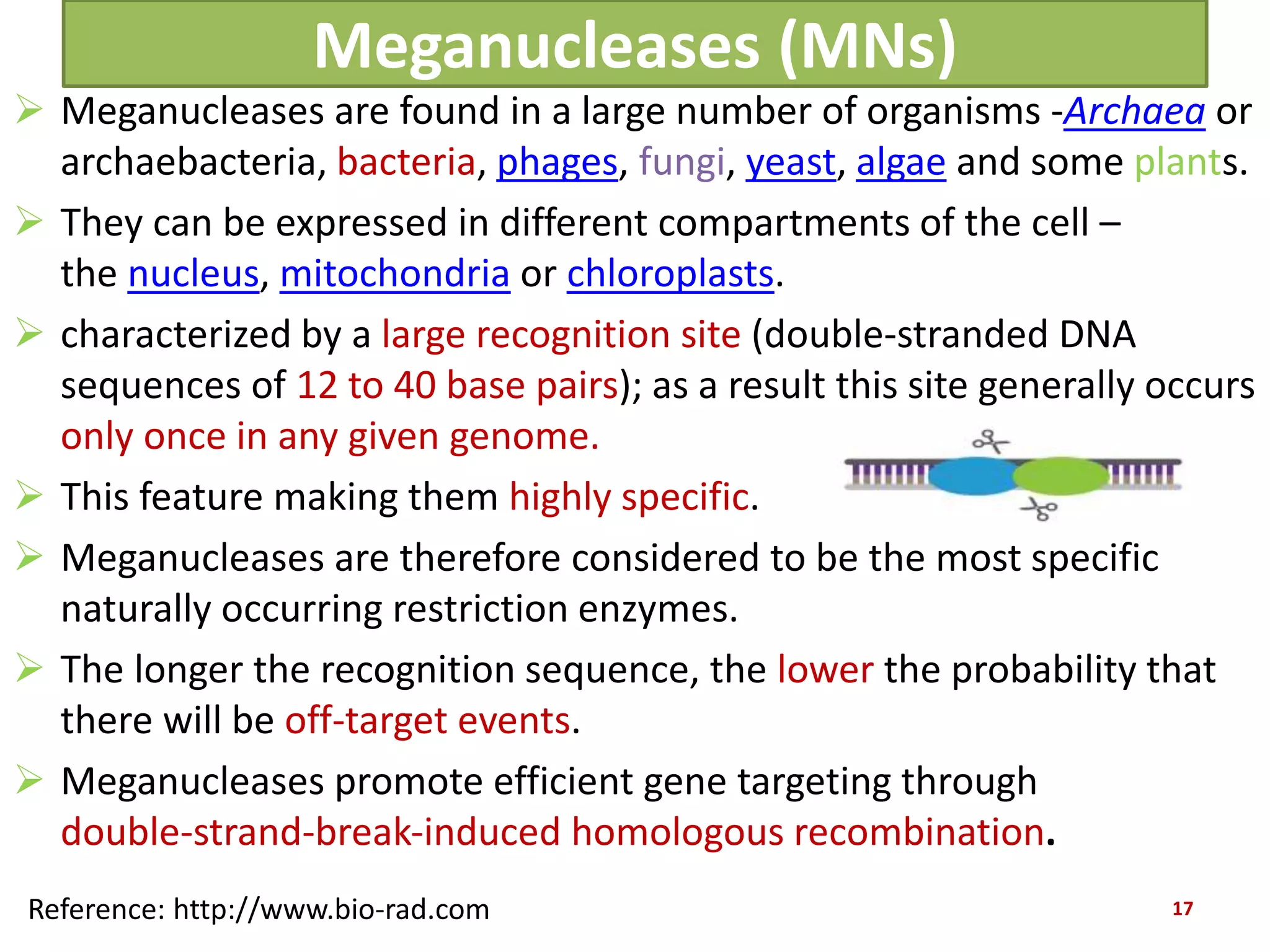 ویرایش ژنوم Genome editing tools | PPTX