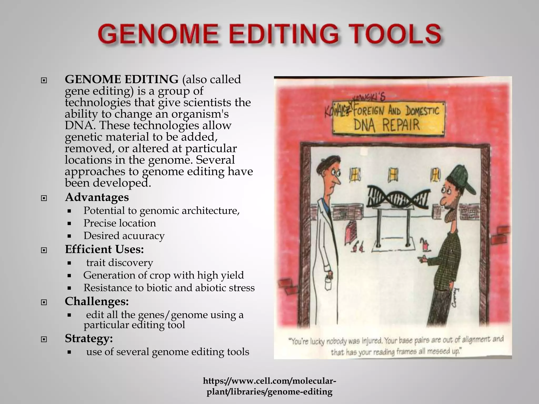 Genome editing tools in plants | PPTX