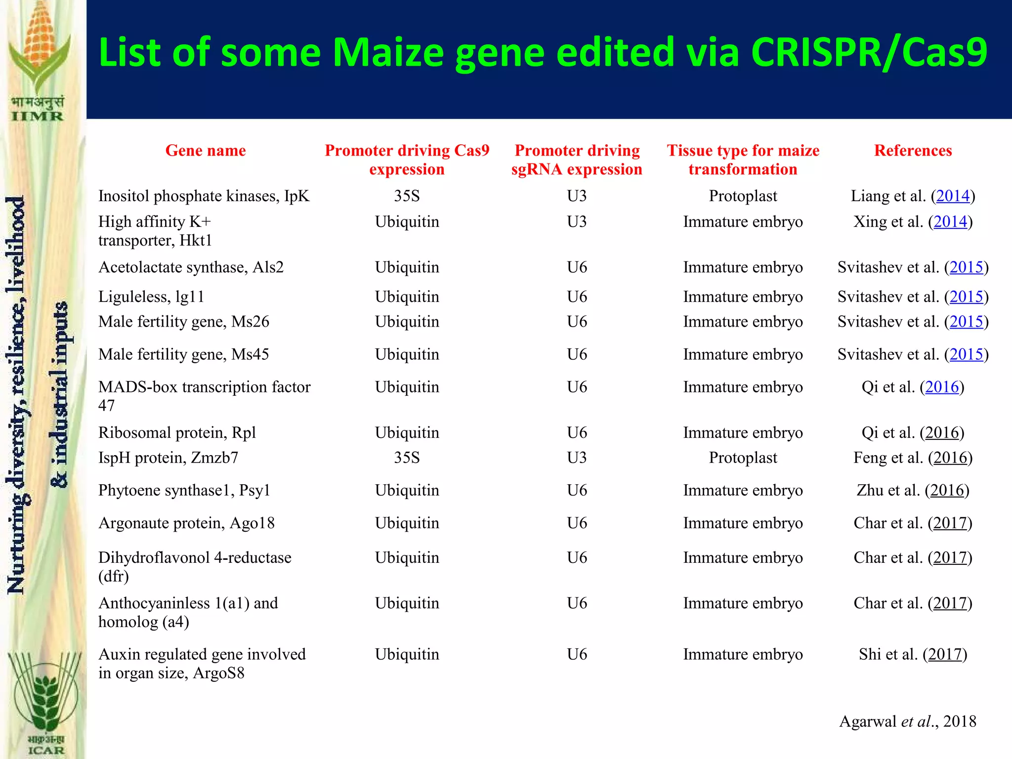 Genome editing with engineered nucleases | PPT