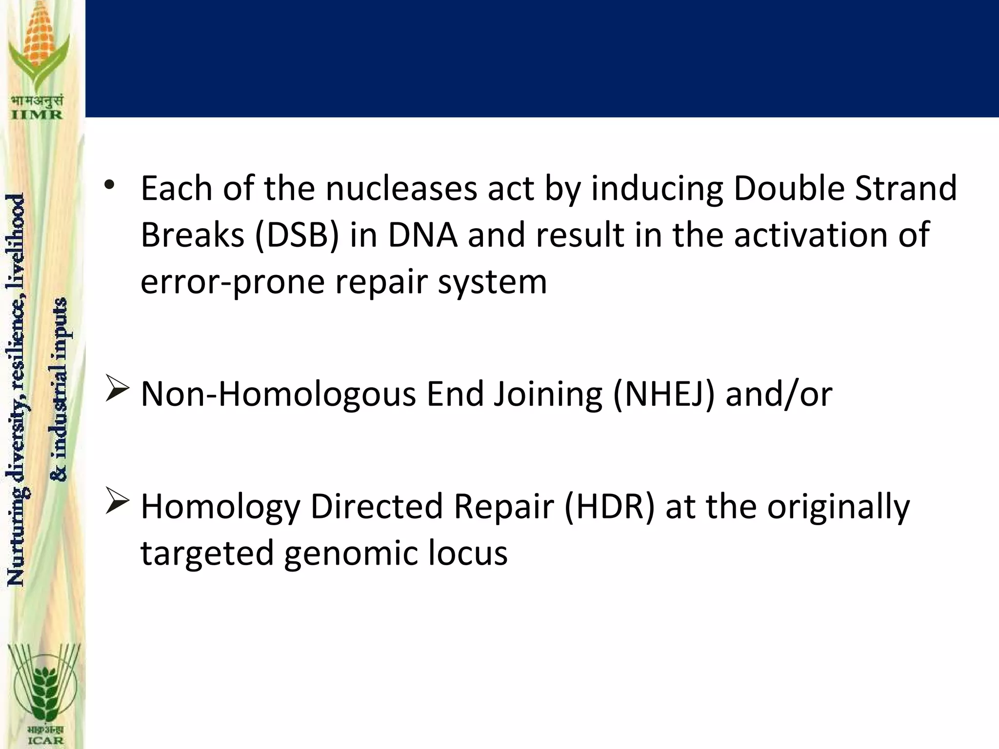 Genome editing with engineered nucleases | PPT