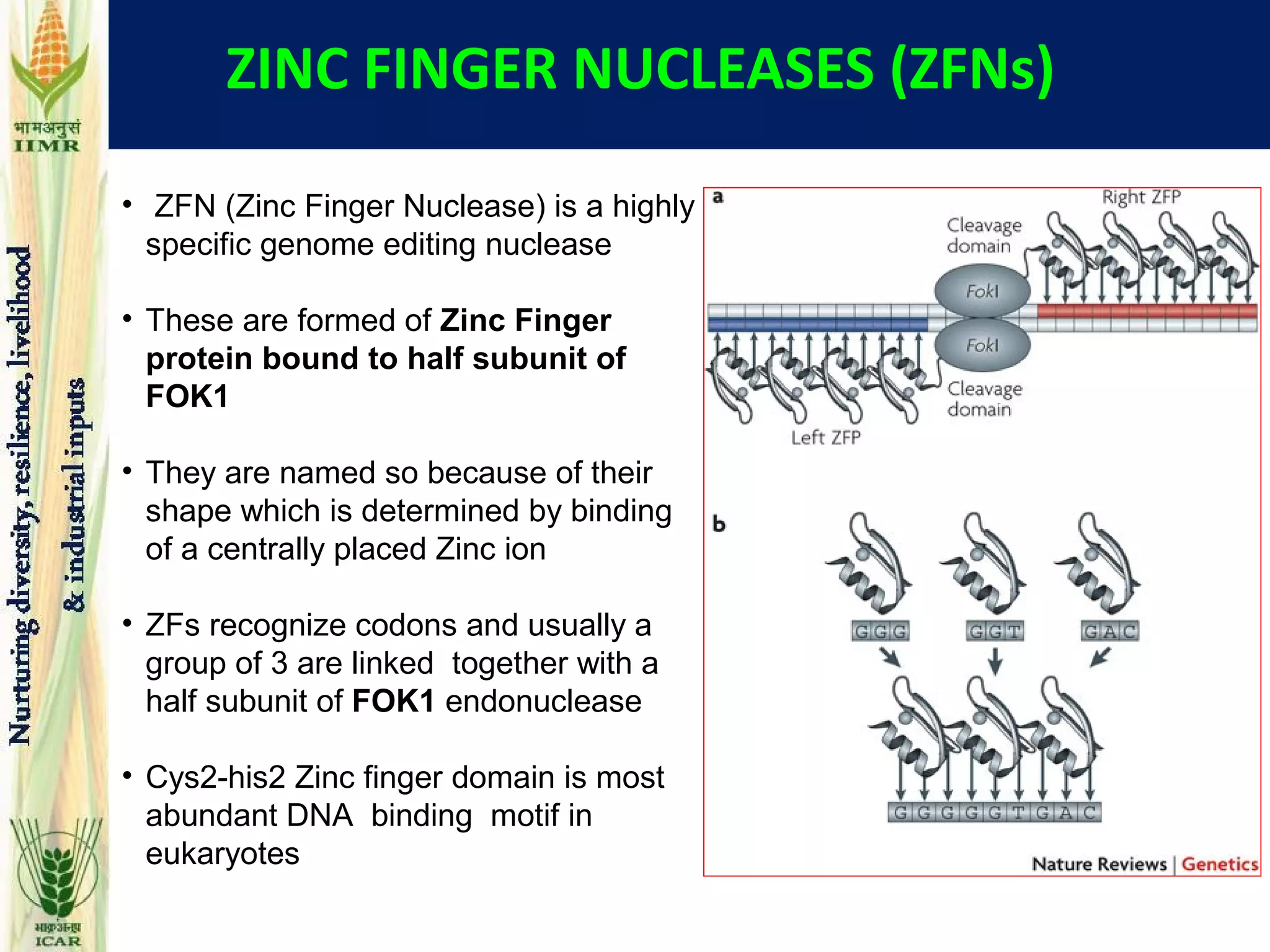 Genome editing with engineered nucleases | PPT