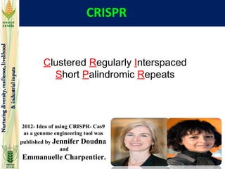 Genome editing with engineered nucleases | PPT