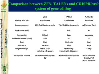Genome editing with engineered nucleases | PPT | Programming Languages ...
