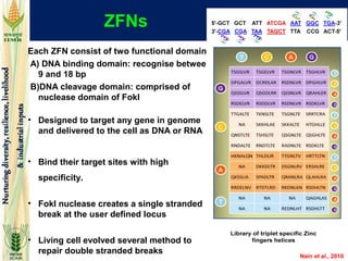 Genome editing with engineered nucleases | PPT