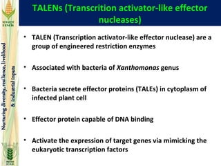 Genome editing with engineered nucleases | PPT | Programming Languages ...