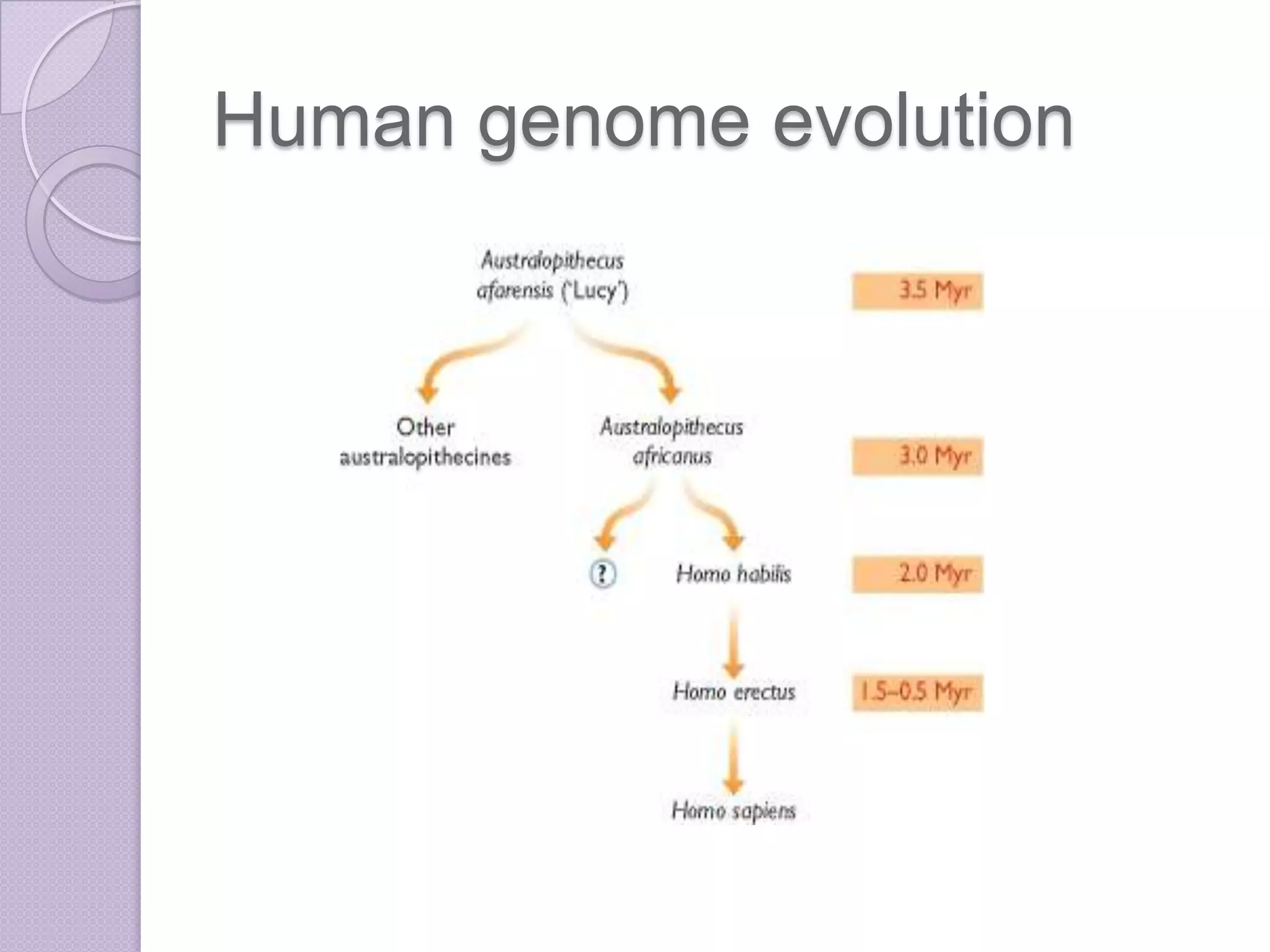 Genome evolution | PPTX
