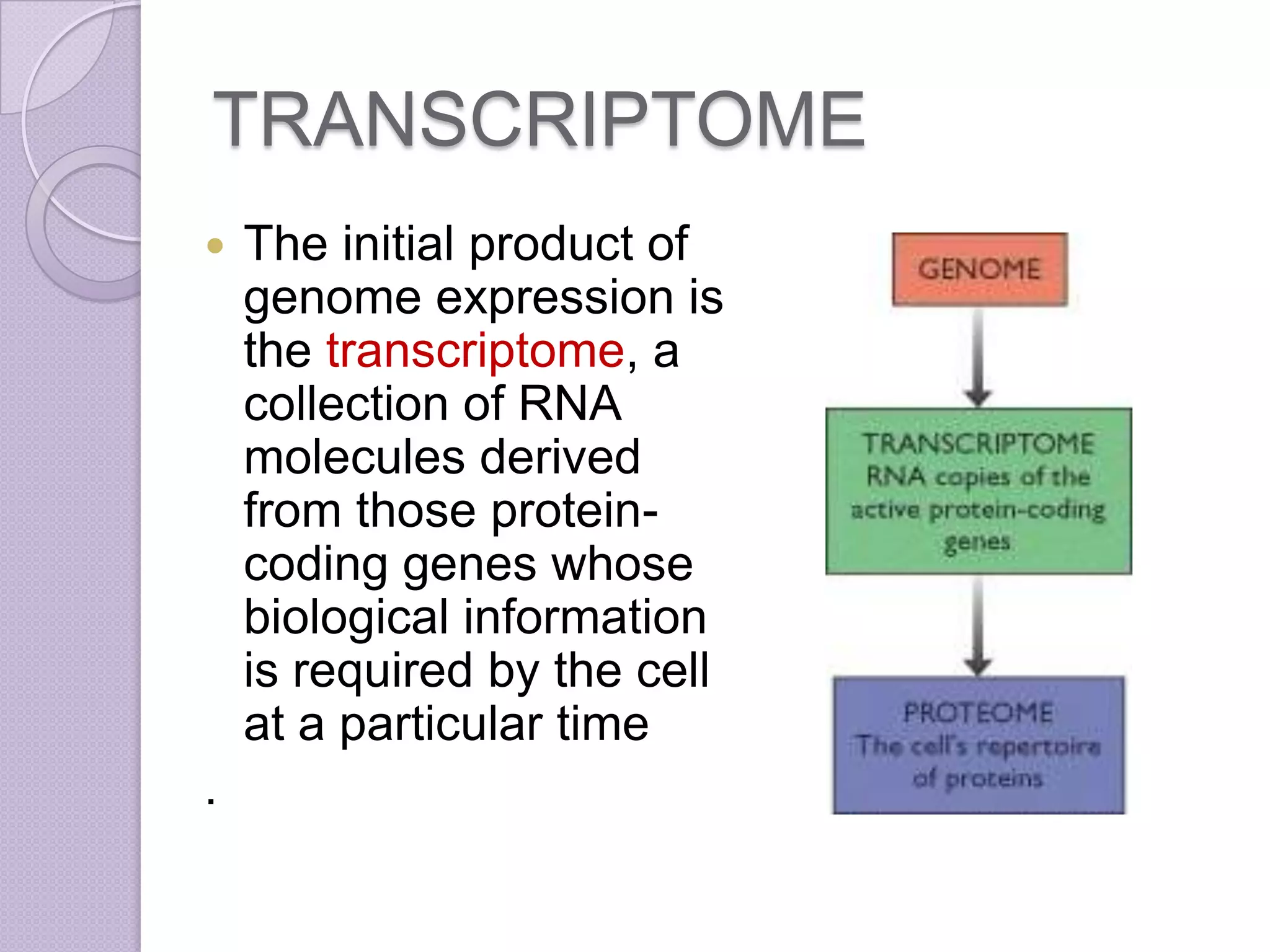 Genome evolution | PPTX