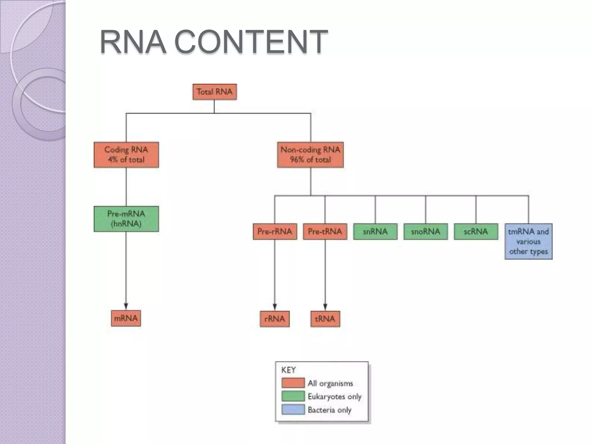 Genome evolution | PPTX