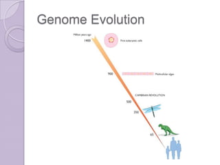 Genome evolution | PPTX