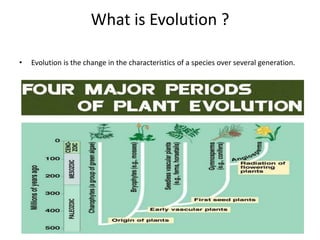 Genome evolution discussion questions | PPT
